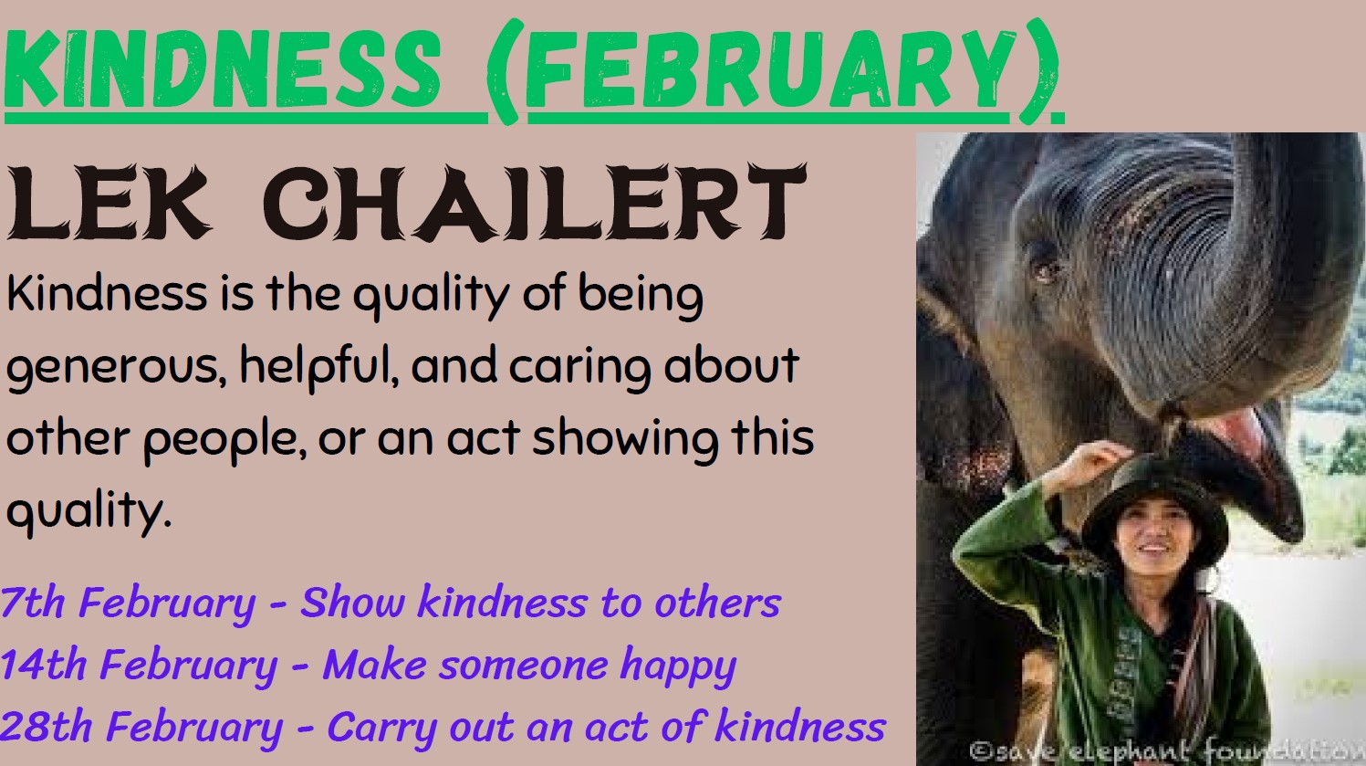 Holmer Green Junior School - Stars of the Week